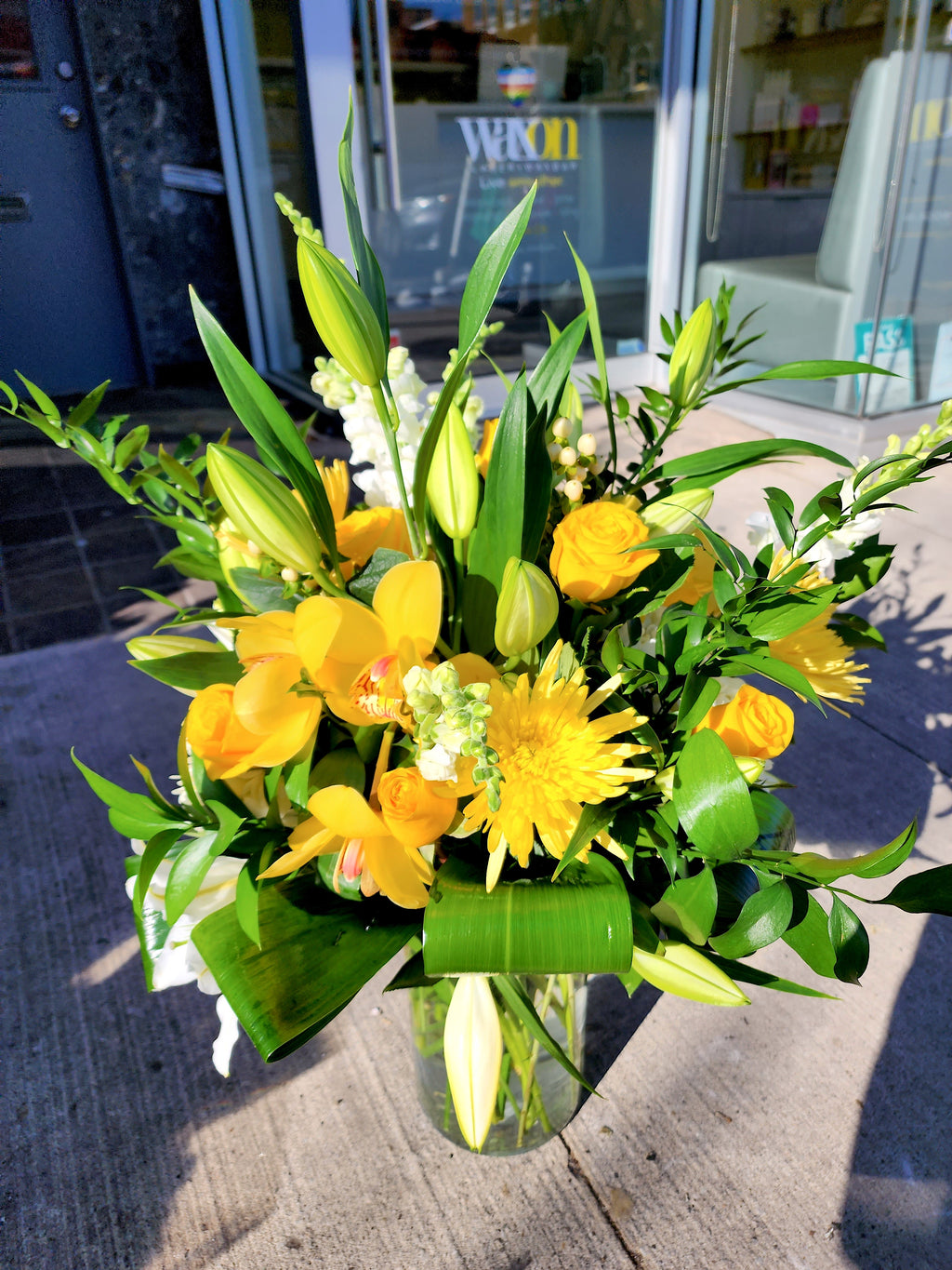 FC11: Glow – Bloor Village Flowers