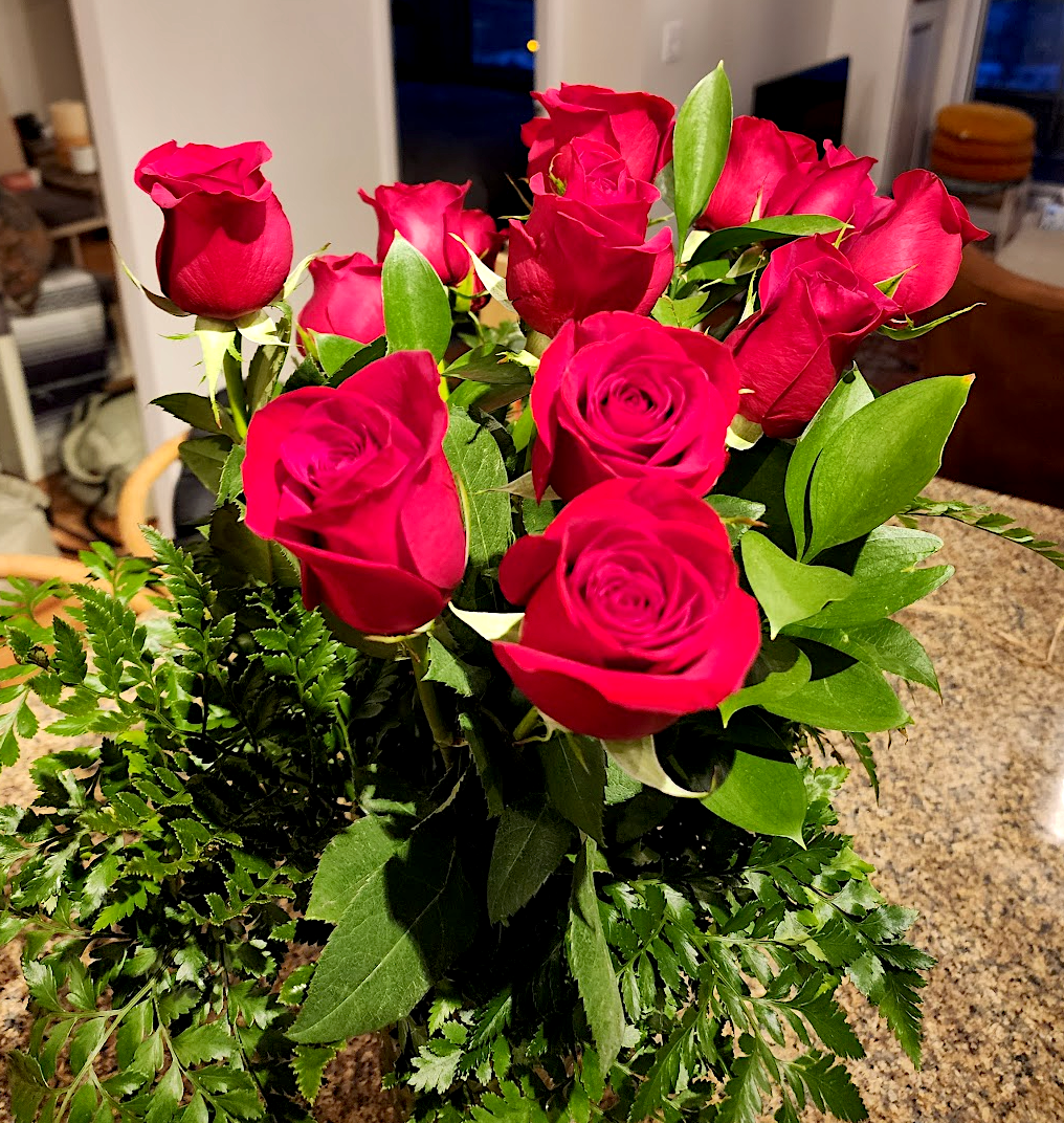 V16: TEENAGE DREAM (LONG STEM ROSES) – Bloor Village Flowers